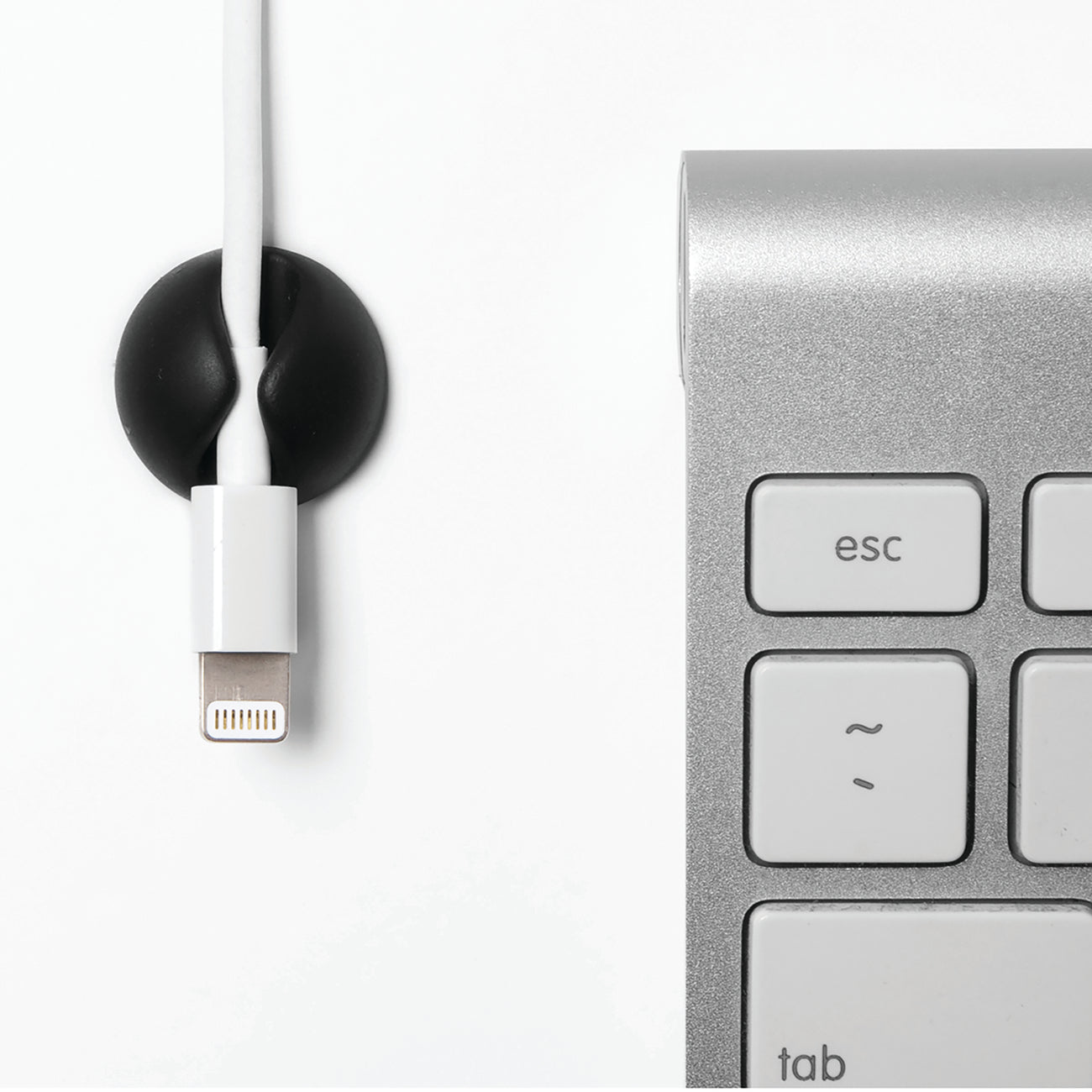 Cable & Cord Organizers - Simplistic & Practical - Bluelounge