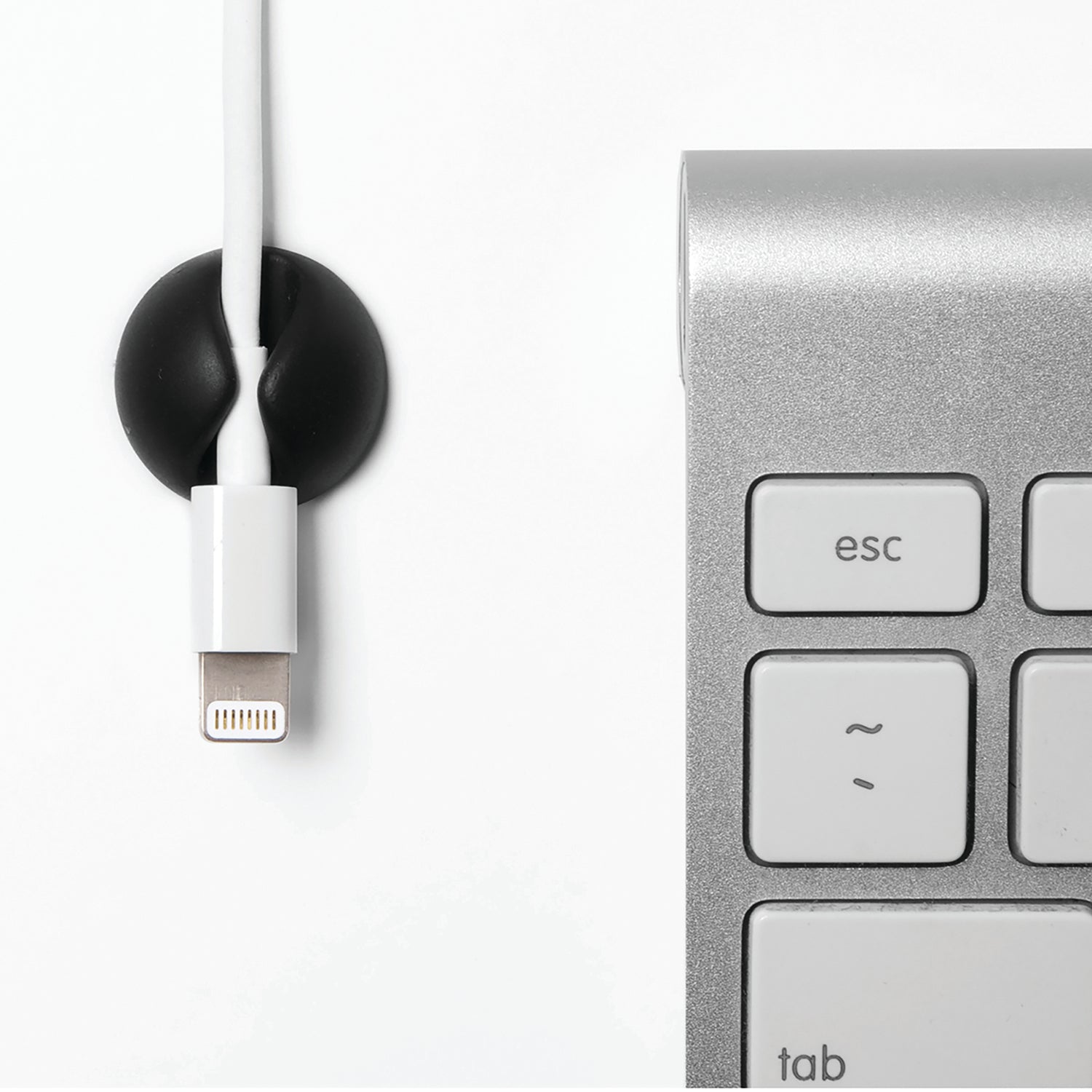 Cable & Cord Organizers - Simplistic & Practical - Bluelounge